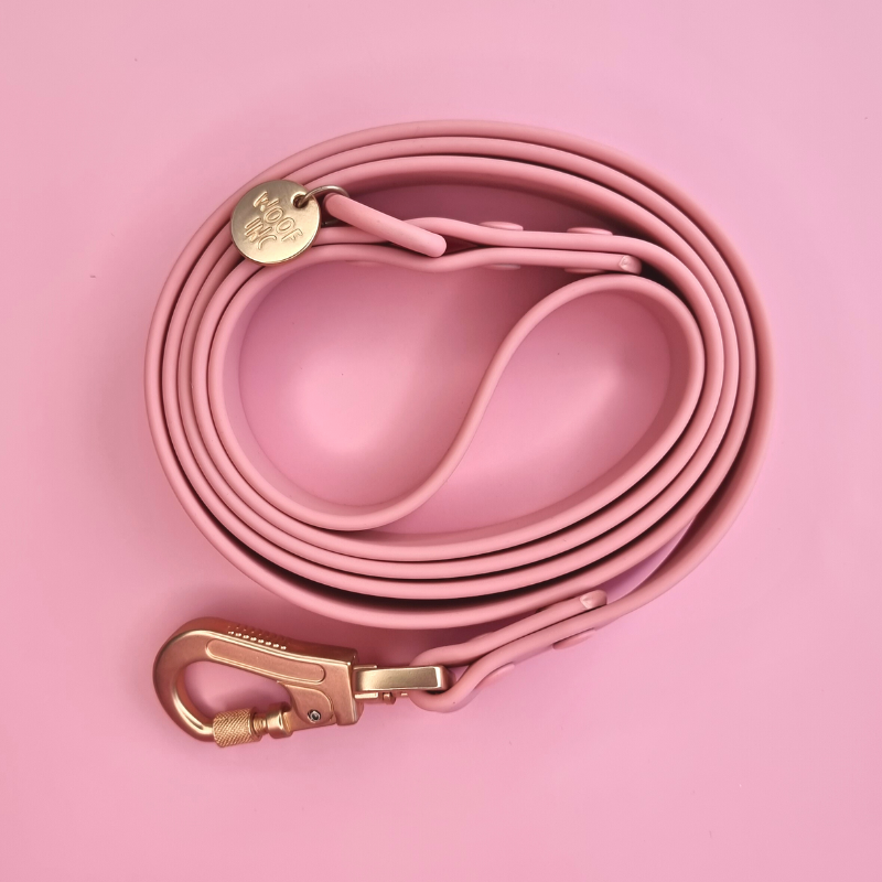 Dusty Pink Dog Lead – WOOF INC